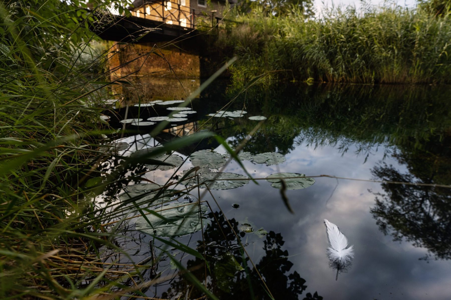 Bende van de Witte Veer, dé nieuwe fietsroute in Brabant - The Bike