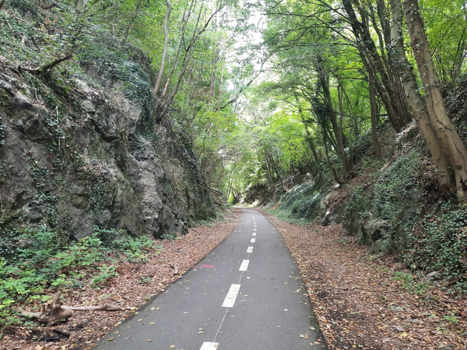 Fietsroute van het Jaar 2023: EuroVelo 5 in België - The Bike