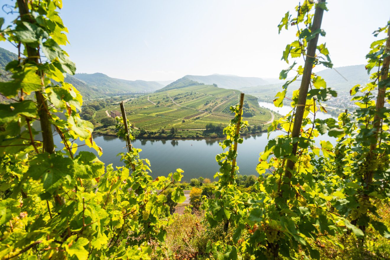 Ultiem fietsen langs de Moezel: het Moselle Cycle Path en meer