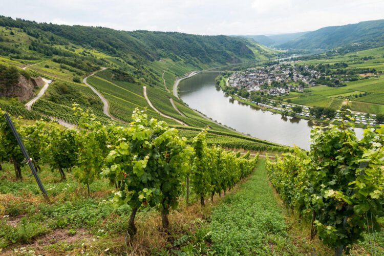 Ultiem fietsen langs de Moezel: het Moselle Cycle Path en meer